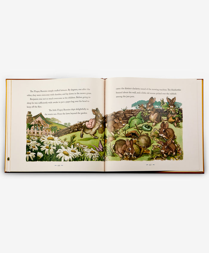 The Classic Tale of Peter Rabbit | Tan Bonded Leather